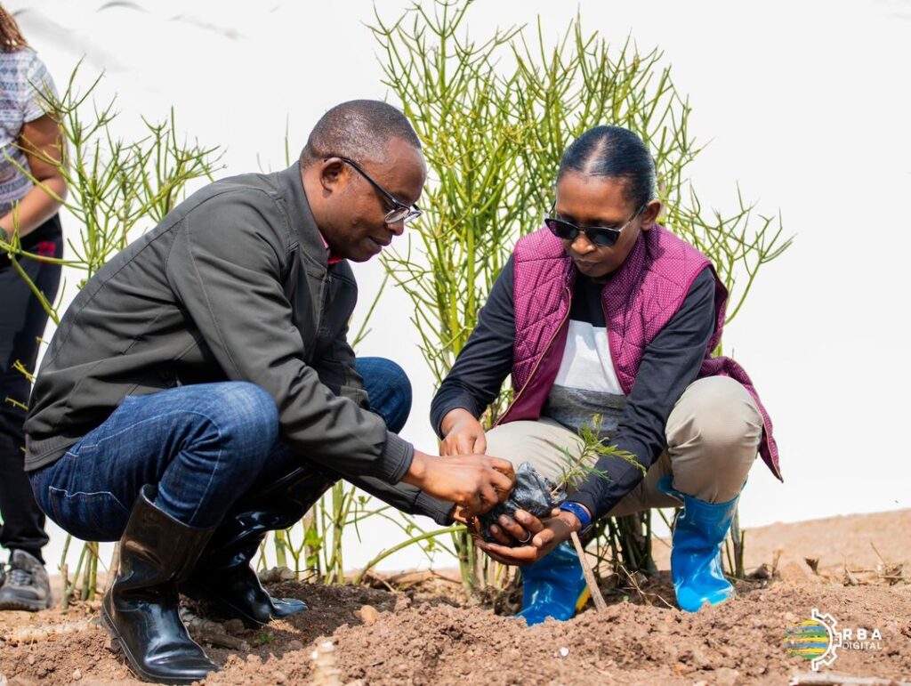 ‘Tera Igiti, Ukibungabunge, Urengere Isi’: U Rwanda rwahagurukiye ...